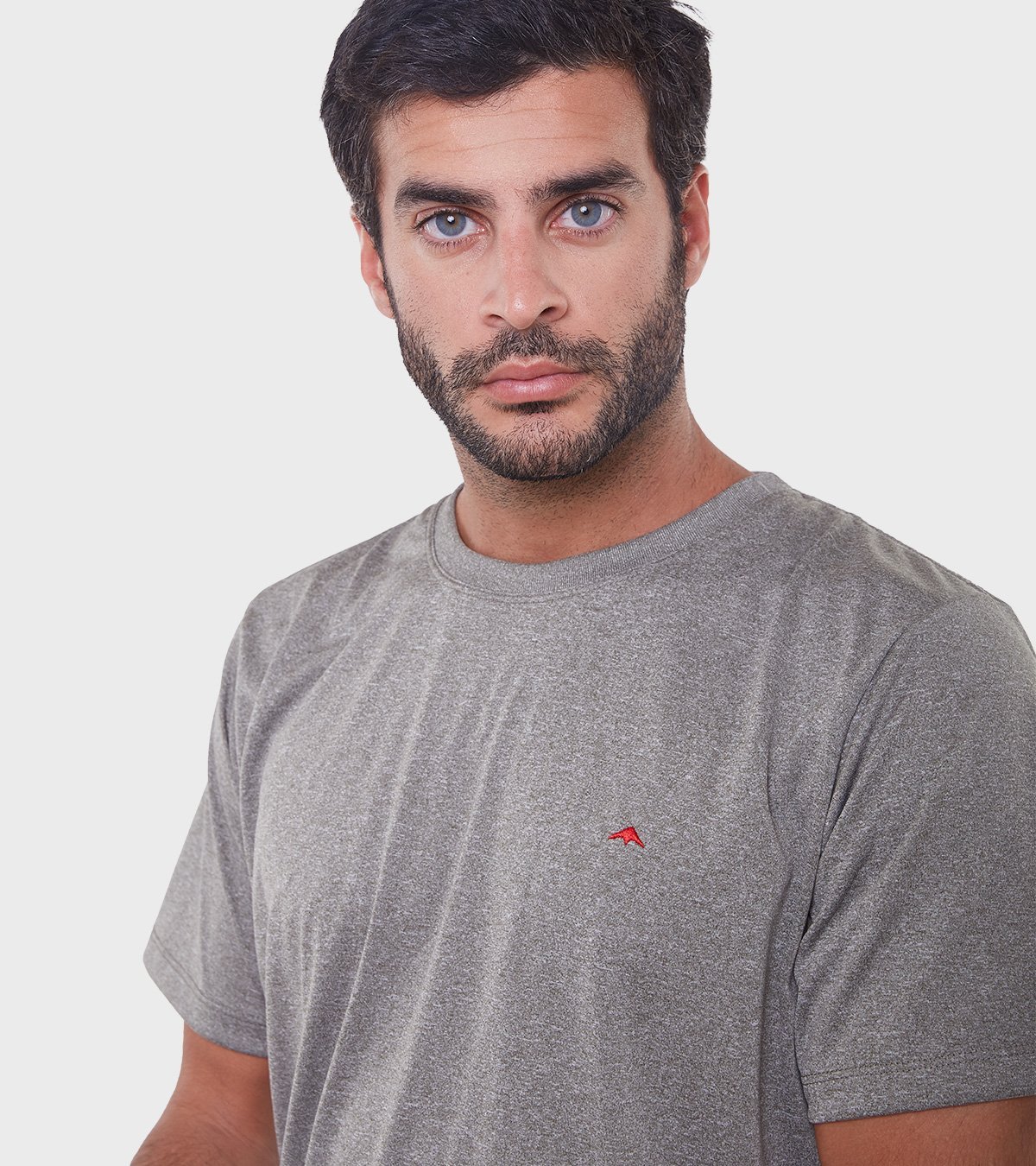 Remera de hombre Asterix